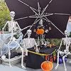Amazon.com: 5.9Ft Halloween Skeleton Posable Skeleton Life Size ...