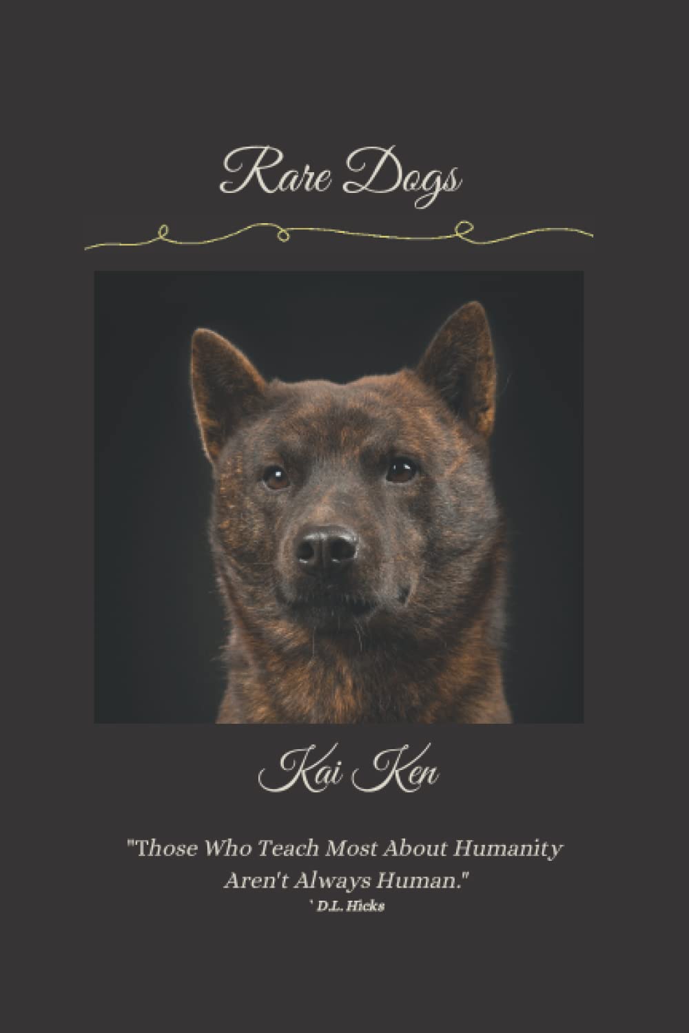 Are Kai Ken Dogs Rare