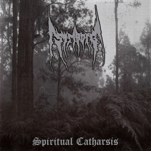 Amazon.com: Spiritual Catharsis [Clean] : Striborg: Digital Music