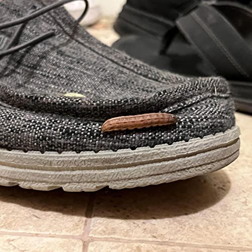 Amazon.co.jp: Greg Pillars : Instead of One: デジタルミュージック