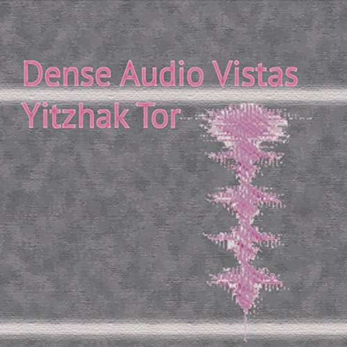 Amazon.com: Dense Audio Vistas : Yitzhak Tor: Digital Music