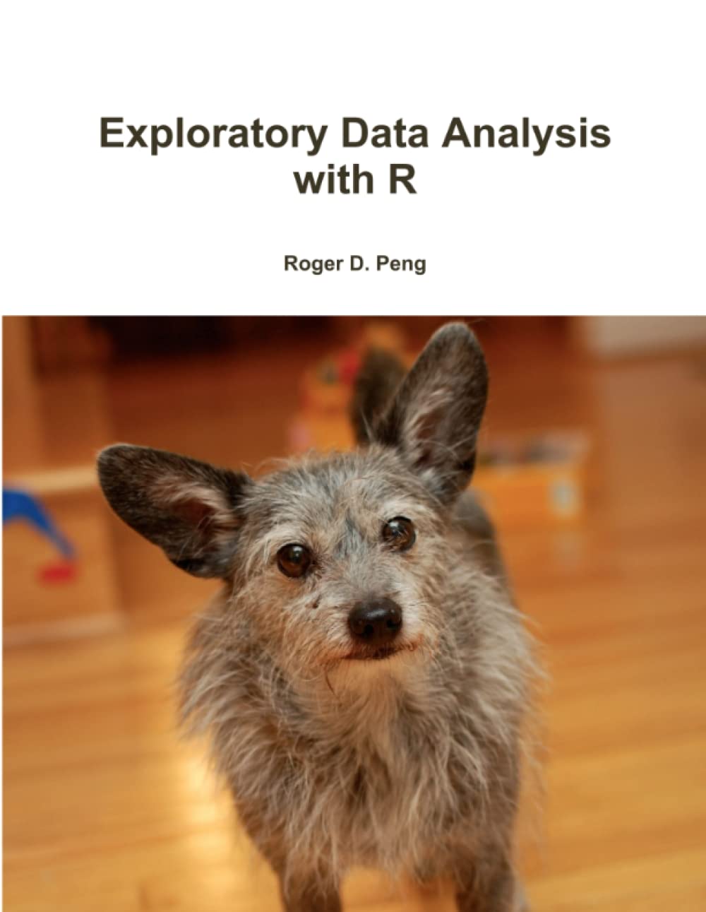 Exploratory Data Analysis with R: 9781365060069: Computer Science Books ...