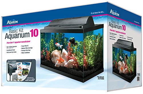 Top 10 10 Gallon Aquarium Kit of 2022 - Katynel
