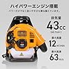 Amazon.co.jp: HAIGE(ハイガー) 背負い式 エンジンブロワー 業務用 家庭用 43cc 最大風速63m/s フラットノズル HG-B243B : DIY・工具・ガーデン