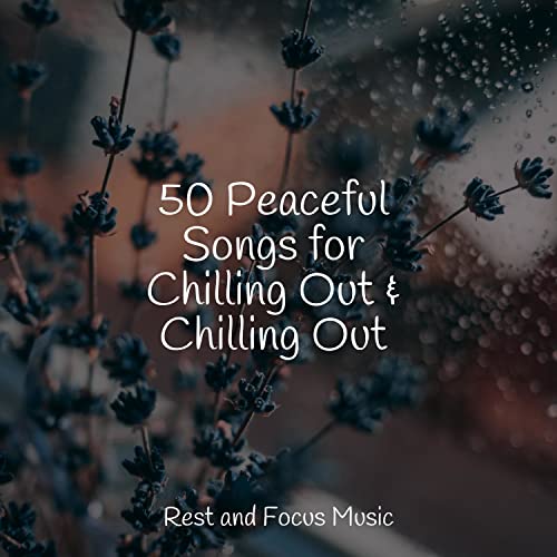 Play 50 Peaceful Songs for Chilling Out & Chilling Out by Study Music, Meditation Zen ...