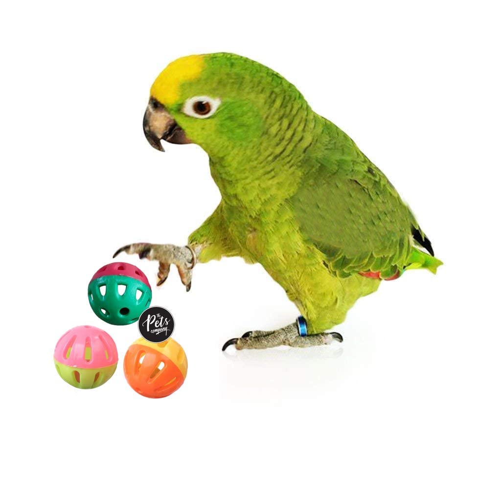 The Pets Company Bird Interactive Bell Ball, Bird Toy for Parakeet ...