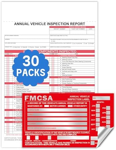 Amazon.com: YNXPTBNC 30-Pack,Annual Vehicle Inspection Report Form ...