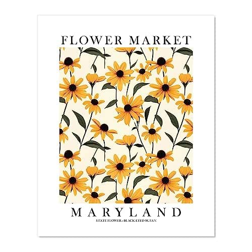 Amazon.com: Maryland State Flower Black-Eyed Susan Wildflower Yellow ...