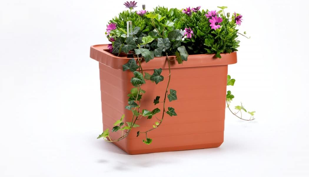 Amazon.com : Self-Watering Flower Box Berberis UNO w/ Wheels ...