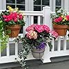 Amazon.com: Bloem RailScapes Floating Railing Plant Clip for 1.25” - 1. ...