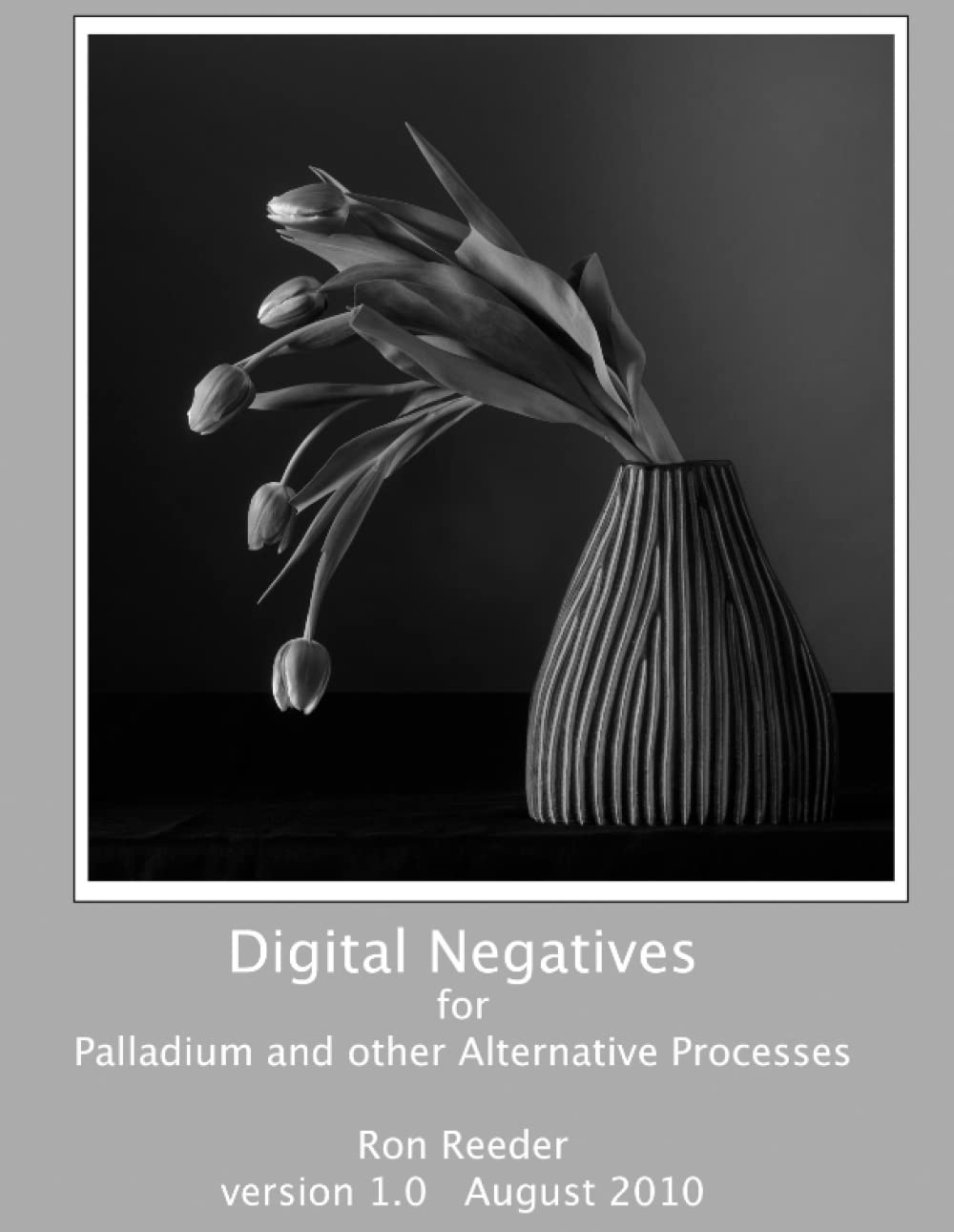 Digital Negatives for palladium and other alternative processes: Reeder ...