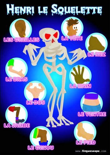 Henri Le Squelette : Derone, Stephane: Amazon.ca: Books