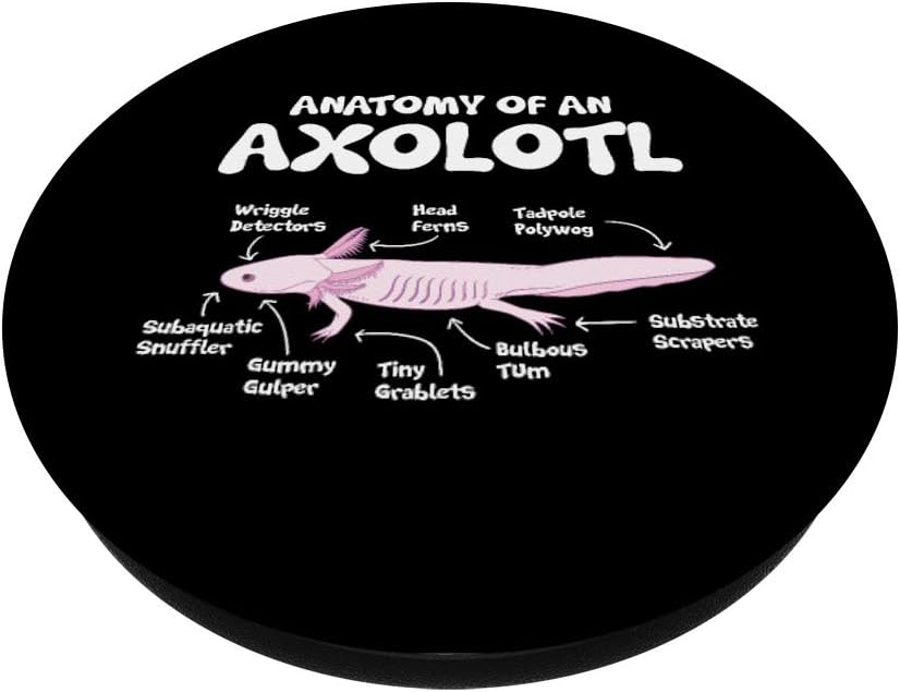 Anatomy Of An Axolotl Axolotls Pet Biology Diagram Science PopSockets ...