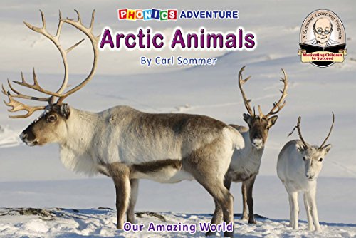 Arctic Animals (Non-Fiction Reader Book 1) - Kindle edition by Sommer ...