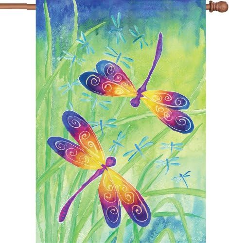 Amazon.com : Premier Kites 52032 House Illuminated Flag, Dancing ...