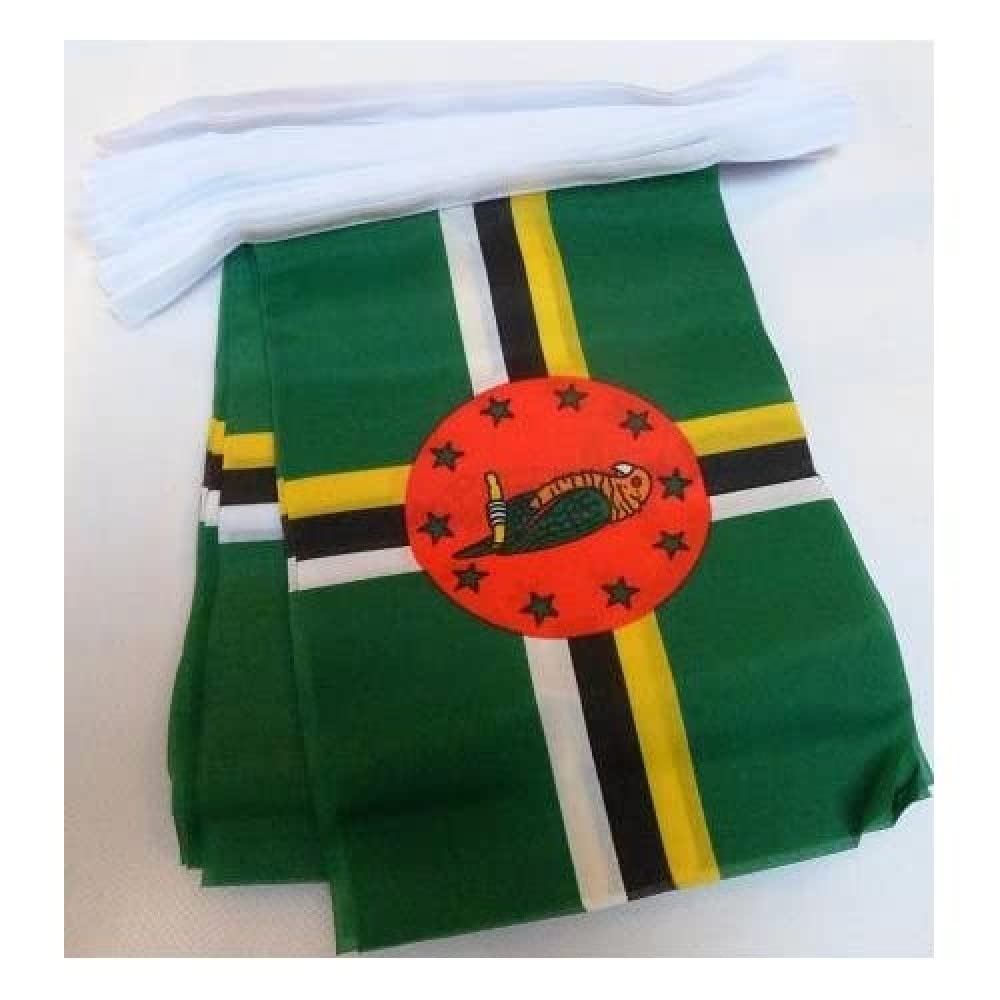 Polyester Flag Bunting 33 Feet Macland 30 Pcs Dominican National Flag ...