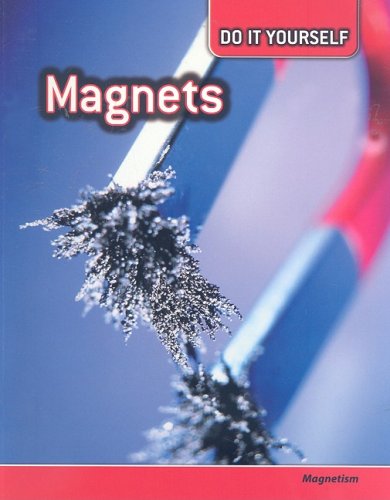 Magnets: Magnetism (Do It Yourself): Lynette, Rachel: 9781432911133 ...