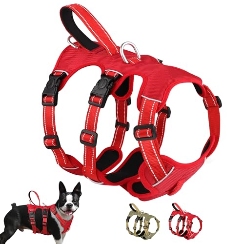 Escape Proof Dog Harness – The 15 best products compared - Wild Explained