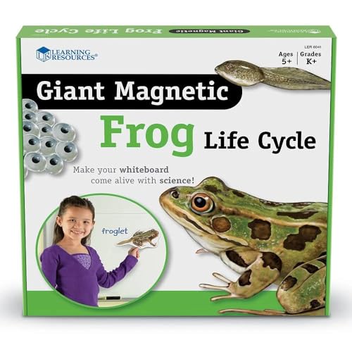 Learning about frogs and their life cycle – fun activity ideas - Wonder ...