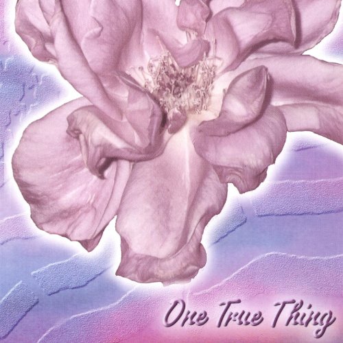 Play One True Thing by Terri Stilwell on Amazon Music