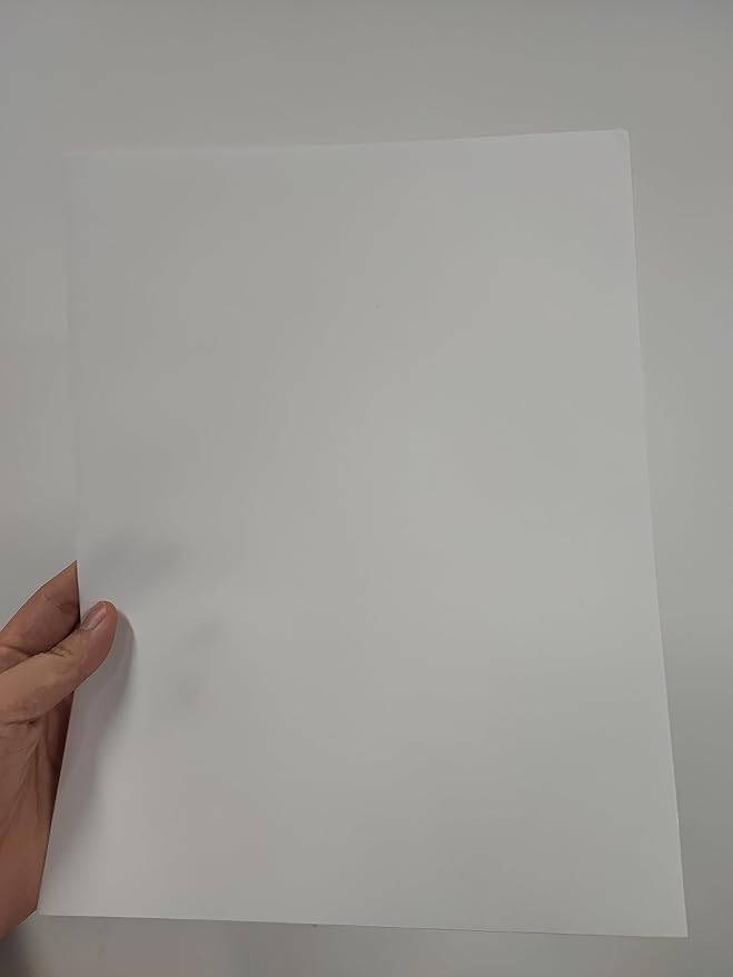 Amazon.com : 8.5x11 Inch Premium Address Labels - 100 Sheets for Inkjet ...