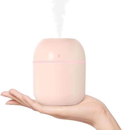 Amazon.com: Portable Small Humidifier, USB Personal Desktop Humidifier ...