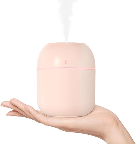 Amazon.com: Portable Small Humidifier, USB Personal Desktop Humidifier ...
