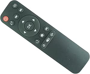 Amazon.com: Hotsmtbang Replacement Remote Control Compatible for ...
