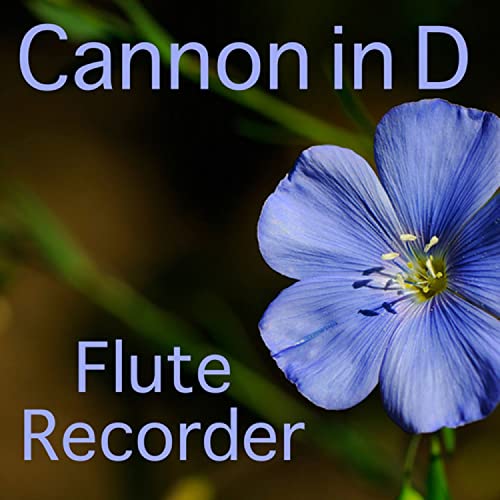 Play Cannon in D: Flute Recorder by The O'Neill Brothers Group on ...