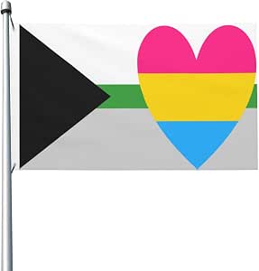 Amazon.com: Pansexual Demiromantic Pride Flag 3x5 Ft Flag - Durable ...