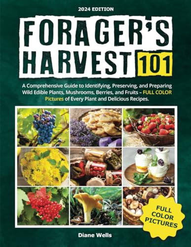 Snapklik.com : Foragers Harvest 101: A Comprehensive Guide To ...