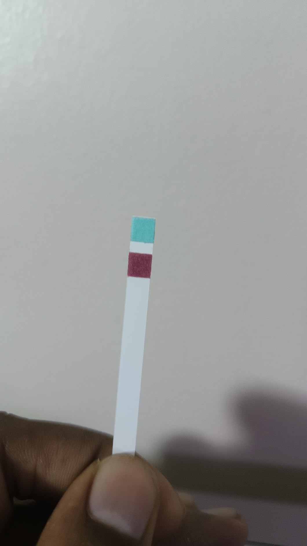 Bayer Keto-Diastix Reagent Strips for Urinalysis, 50-Pack of 2 : Amazon ...