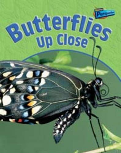Butterflies Up Close (Minibeasts Up Close): Pyers, Greg: 9781844438037 ...
