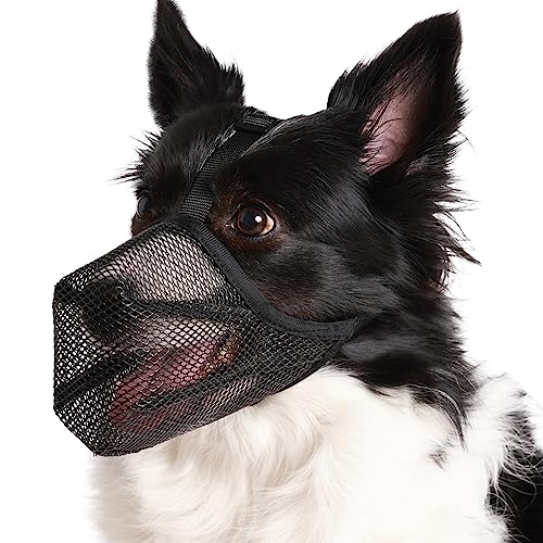 10 Best Muzzles to Stop Your Dog From Eating Poop – Expert Reviews ...