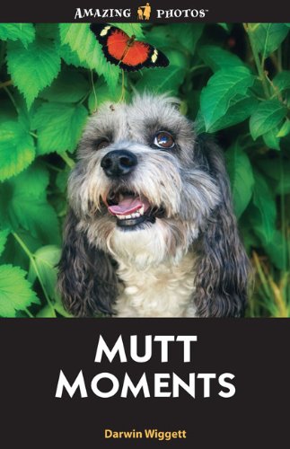 Mutt Moments (Amazing Photos): Darwin Wiggett: 9781554396092: Amazon ...