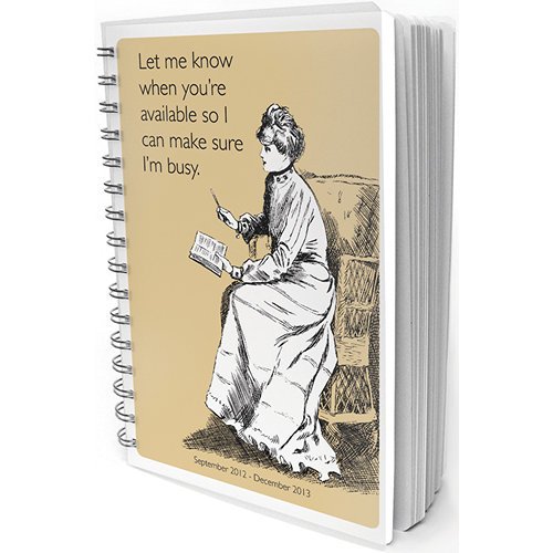 Someecards Calendar: TF Publishing: 9781617763908: Amazon.com: Books