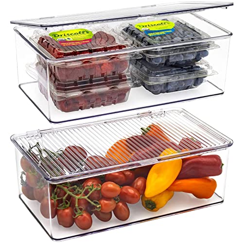 Fridge Boxes – The 16 best products compared - Outdoors Magazine