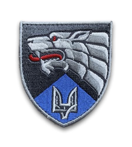 Amazon.com: Ukrainian Special Forces Army Patch Ukrainian Army Chevron ...