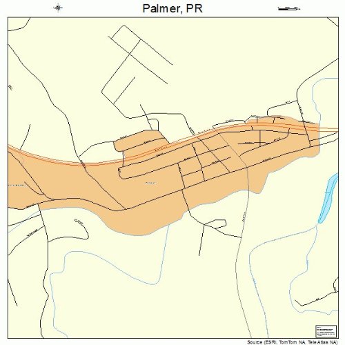 Large Street & Road Map of Palmer, Puerto Rico PR - Printed poster size ...