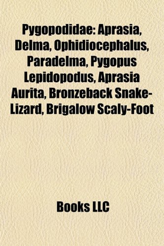 Amazon.co.jp: Pygopodidae : 本