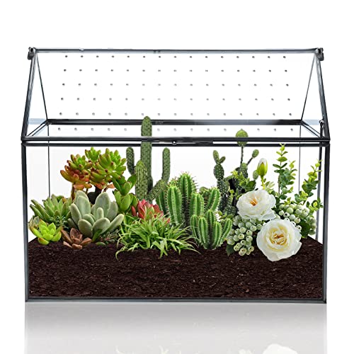 Best Terrariums: Transform Your Home with Nature's Beauty - TopTenReviewed