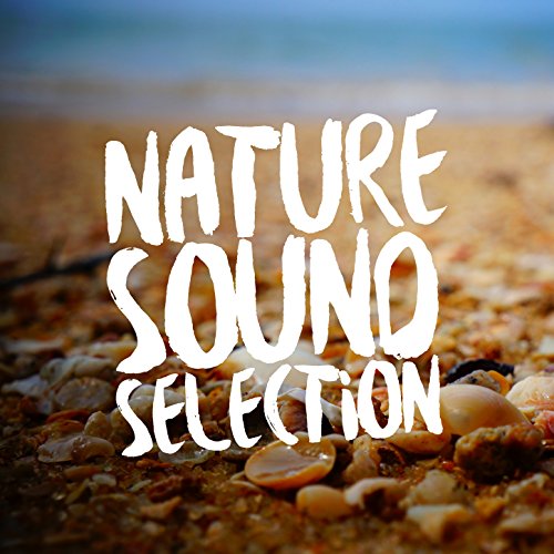 Amazon.com: Nature Sound Selection : Outside Broadcast Recordings ...