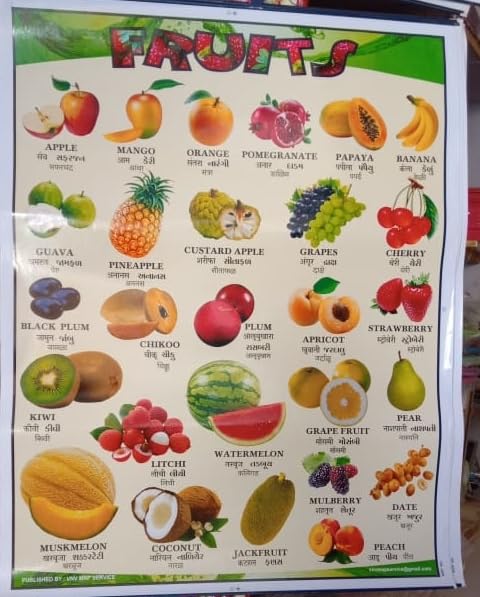 Fruit Chart : Amazon.in: Toys & Games