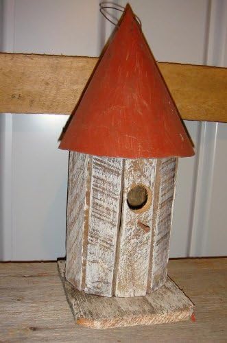 Amazon.com : Birdhouse - Witches Hat Birdhouse - 8x7x14 - Mounting ...