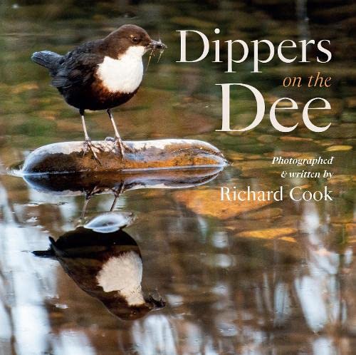 Dippers on the Dee: Amazon.co.uk: Cook, Richard: 9781399921848: Books