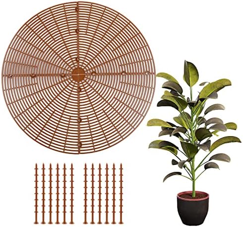 Amazon.com : BSRTOP Keep Cats Out of Potted Plants: 4 Pack 20.4" Indoor ...