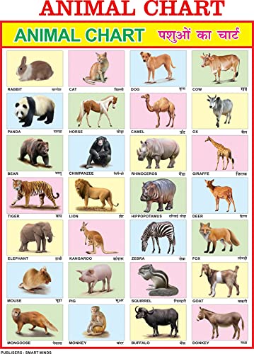 Early Learning Educational Charts for Kids|Animals Chart For Kids ...