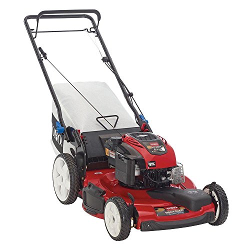 Toro Recycler 20339 Smartstow 22" Walk Behind Push Lawn Mower Review ...