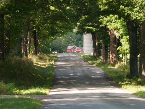 Chronic Lyme's Disease - The Secret Epidemic eBook : Leslie, Stephen ...