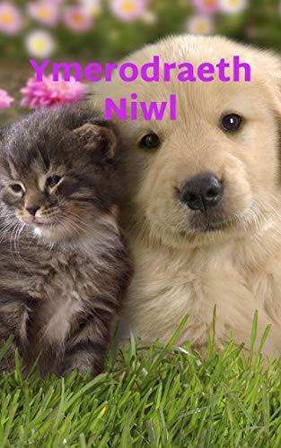 Ymerodraeth Niwl (Welsh Edition) eBook : Ebersbacher, Stephanie: Amazon ...